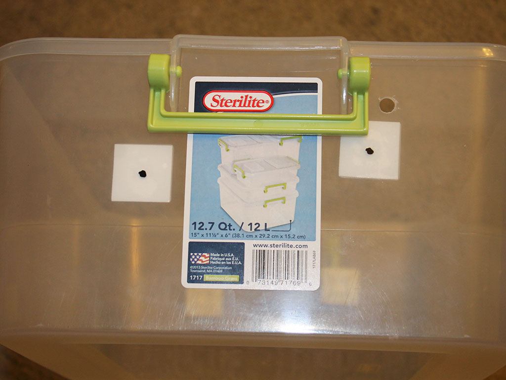 How to set up a green tree python neonate tub | ViridisPython